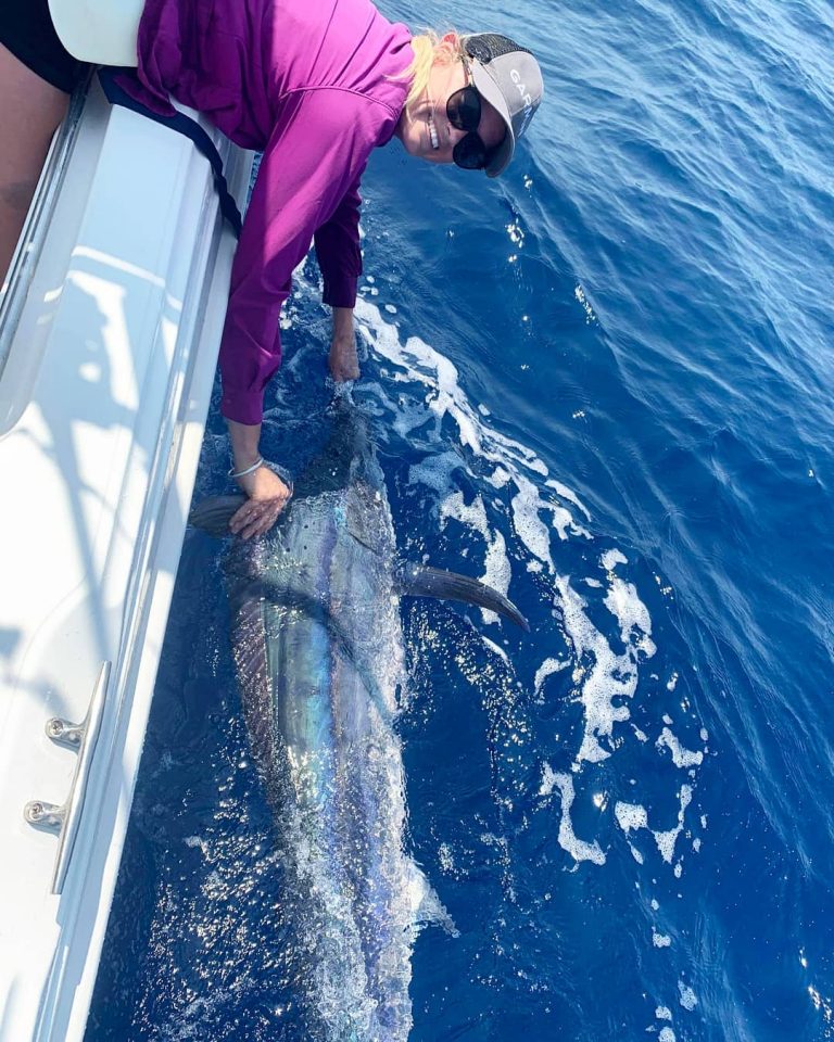 Mooloolaba Game Fishing Club – Billfish on the Sunshine Coast